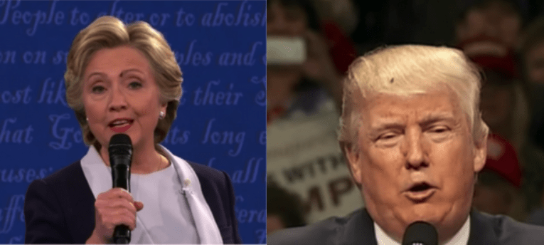 Debate Winner: a Fly? | Barrier Pest Control